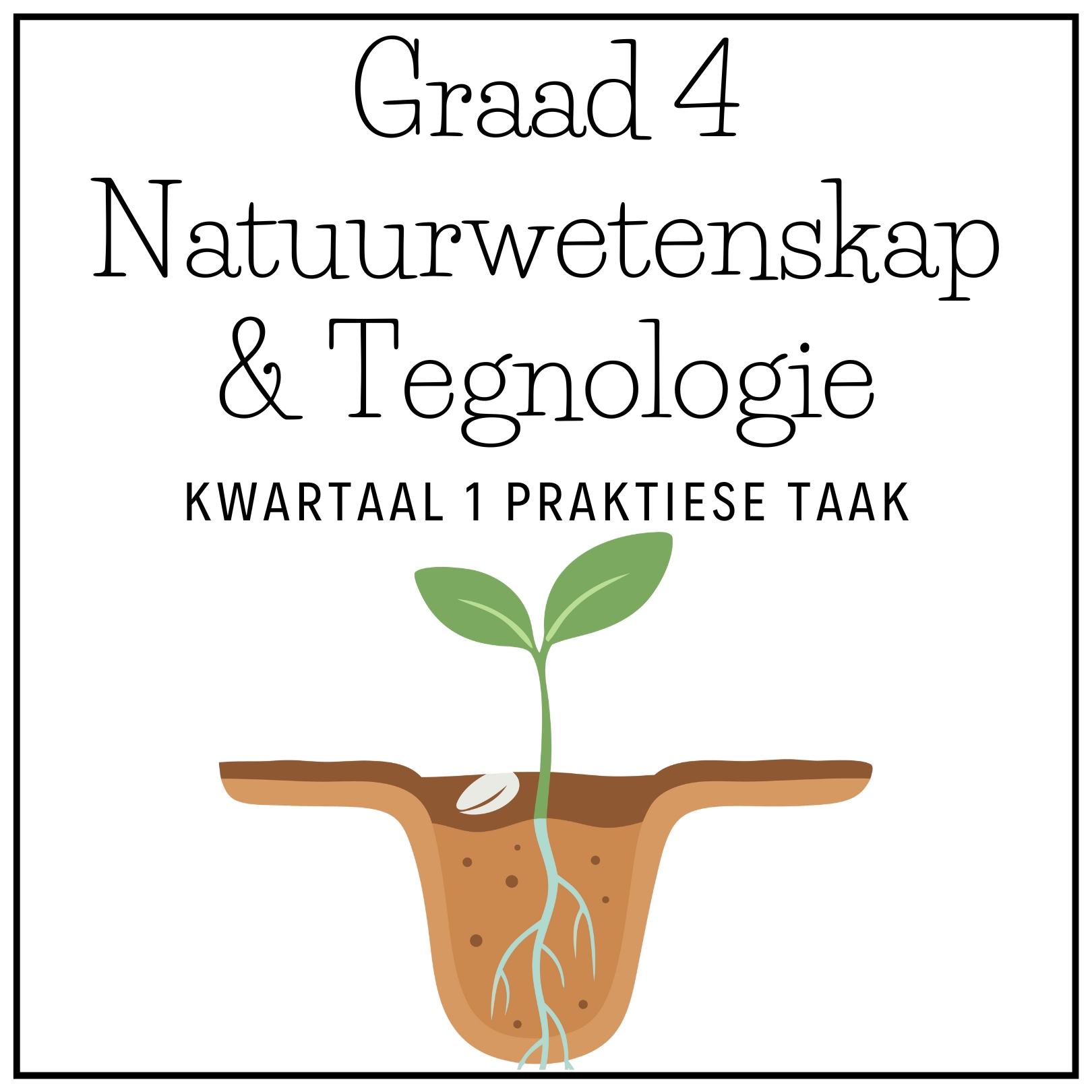 Grade 4 Natural Science & Technology Term 1 2026 Practical Task ...