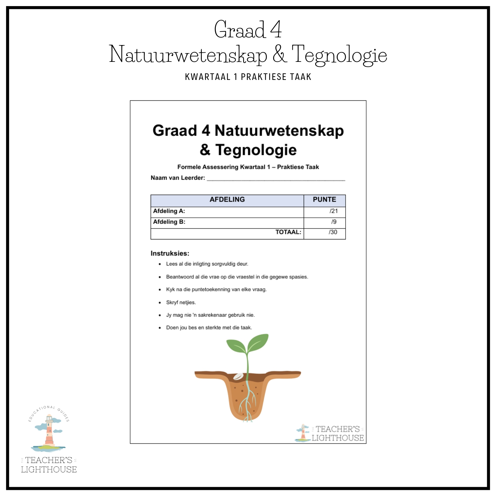 Grade 4 Natural Science & Technology Term 1 2026 Practical Task ...